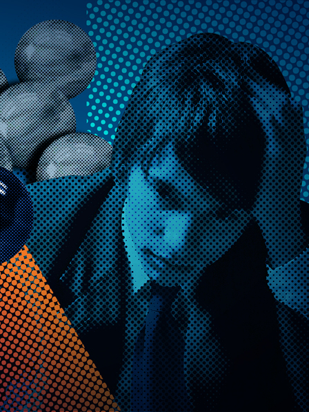 Carnegie Learning - Novel Study Lesson Plans Library